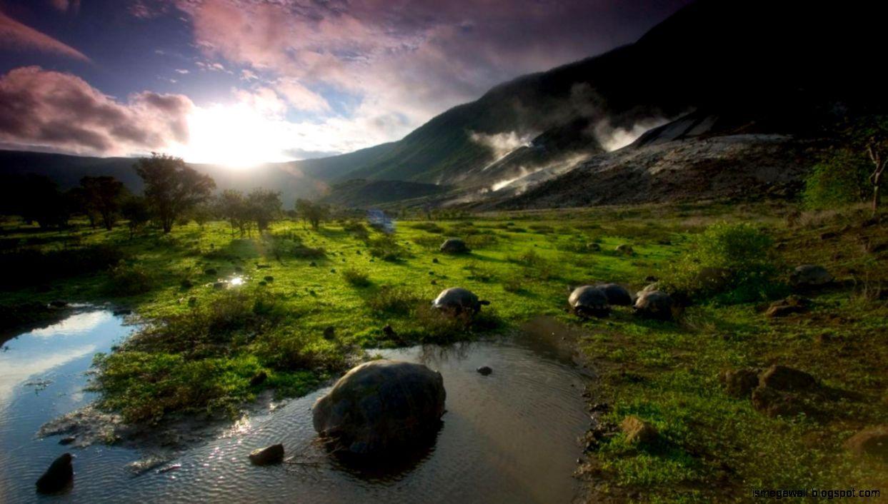 Galápagos Wallpapers - Top Free Galápagos Backgrounds - WallpaperAccess
