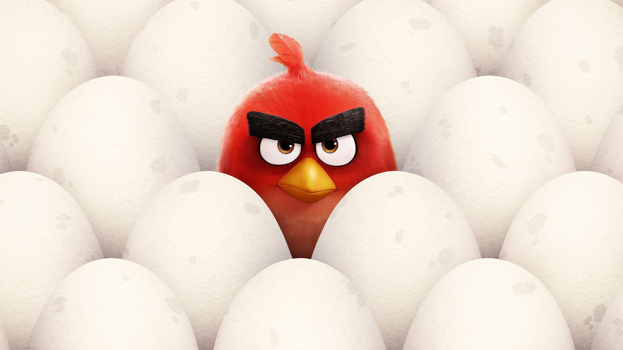 Angry Birds Red Wallpapers - Top Free Angry Birds Red Backgrounds ...