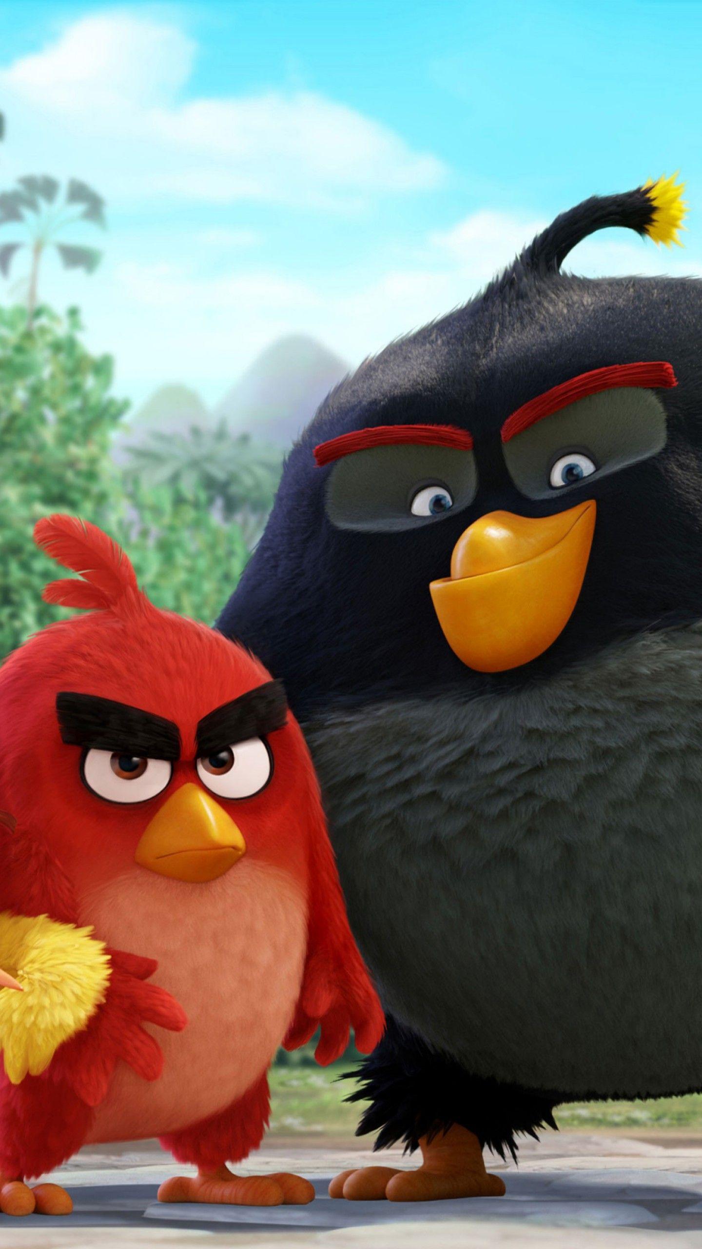Angry Bird Chuck Wallpapers - Top Free Angry Bird Chuck Backgrounds ...