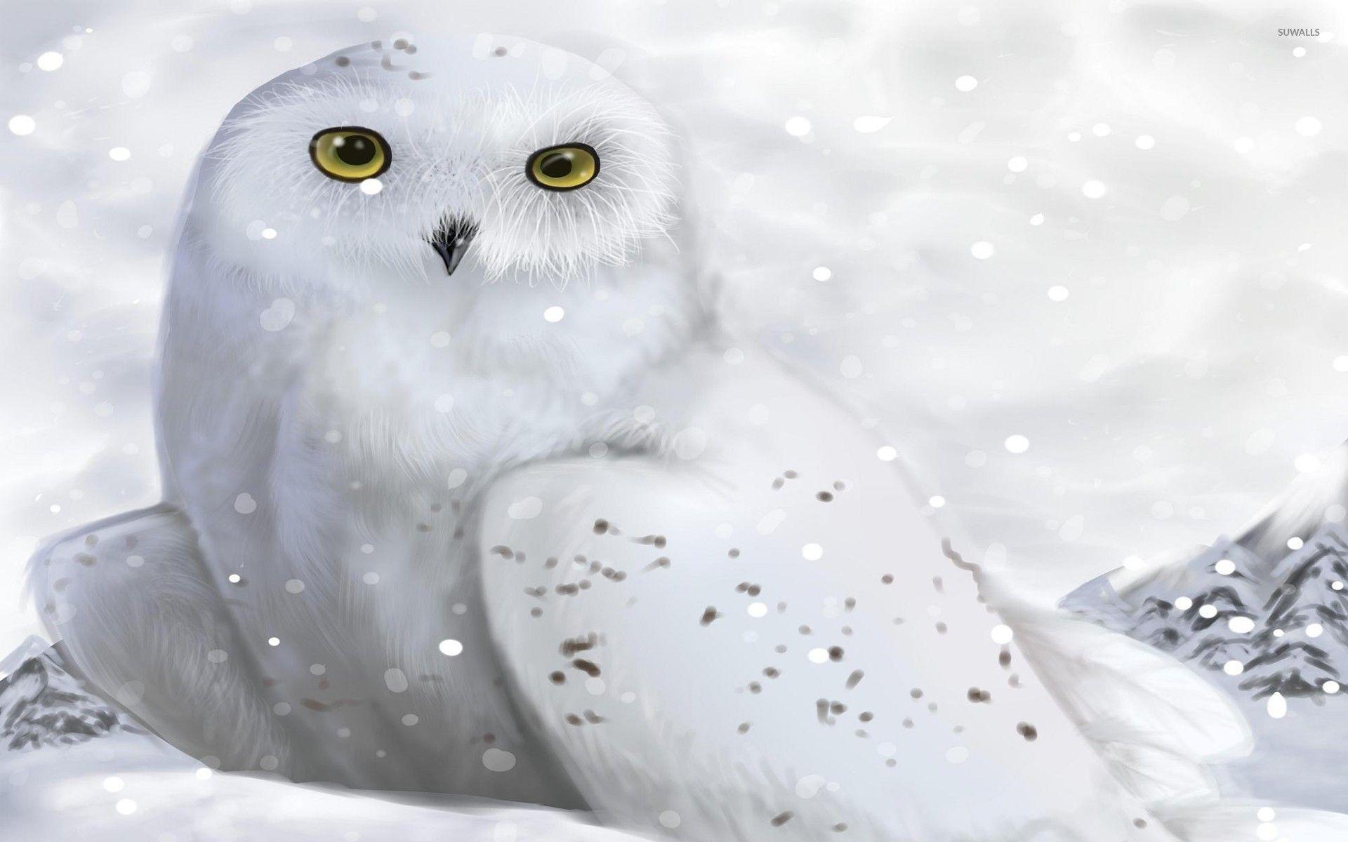 Snowy Owl Wallpapers - Top Free Snowy Owl Backgrounds - WallpaperAccess