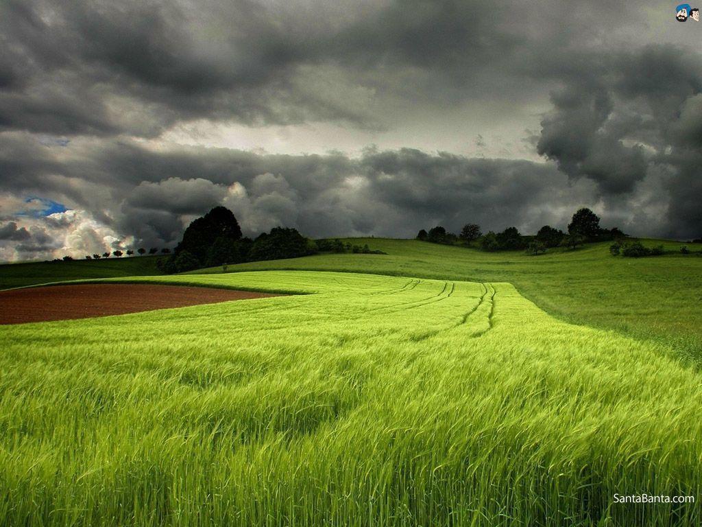 Tamil Nadu HD Wallpapers - Top Free Tamil Nadu HD Backgrounds ...