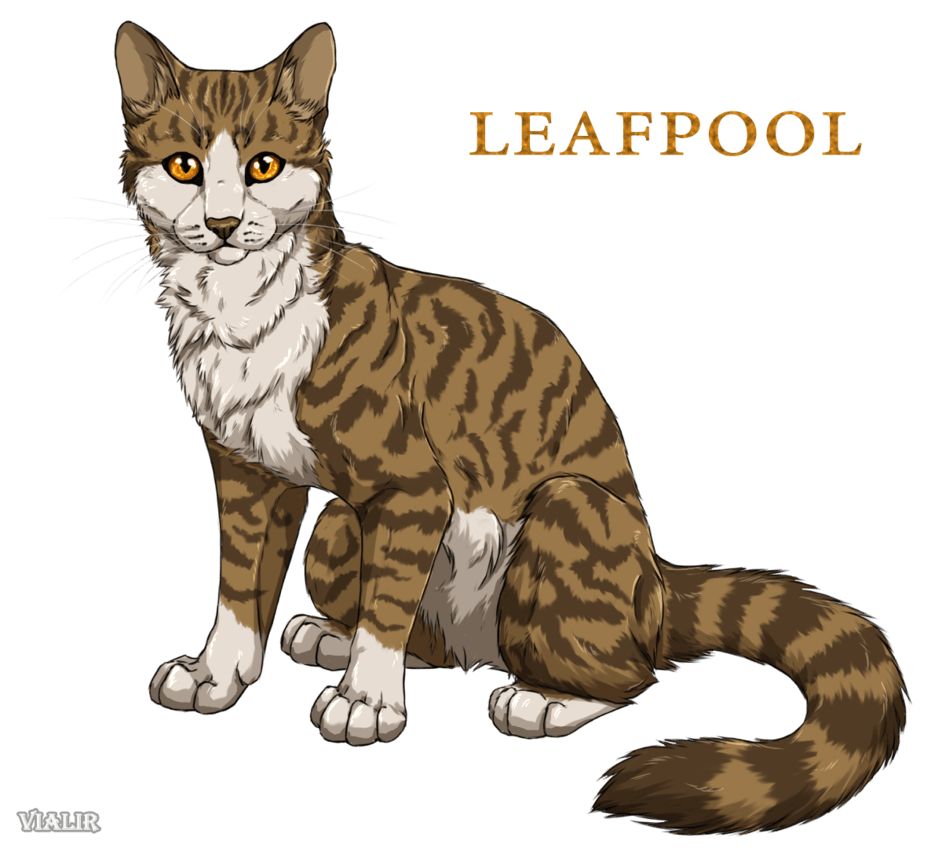 Leafpool Wallpapers - Top Free Leafpool Backgrounds - WallpaperAccess