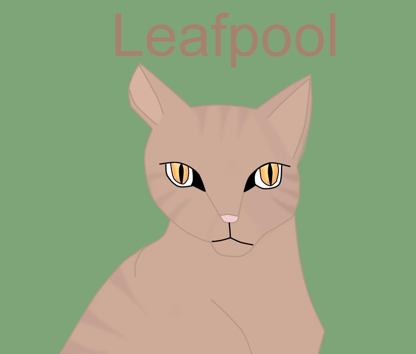 Leafpool Wallpapers - Top Free Leafpool Backgrounds - WallpaperAccess
