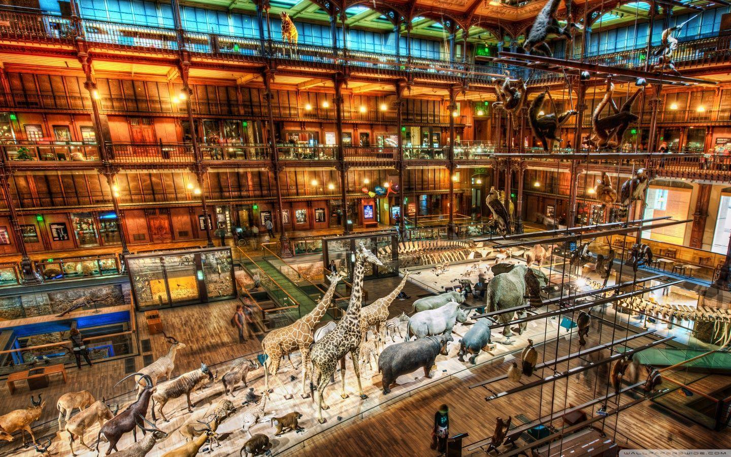 Museum Desktop Wallpapers - Top Free Museum Desktop Backgrounds ...