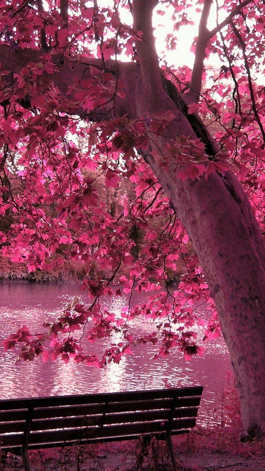 Android Nature Wallpapers - Top Free Android Nature Backgrounds ...