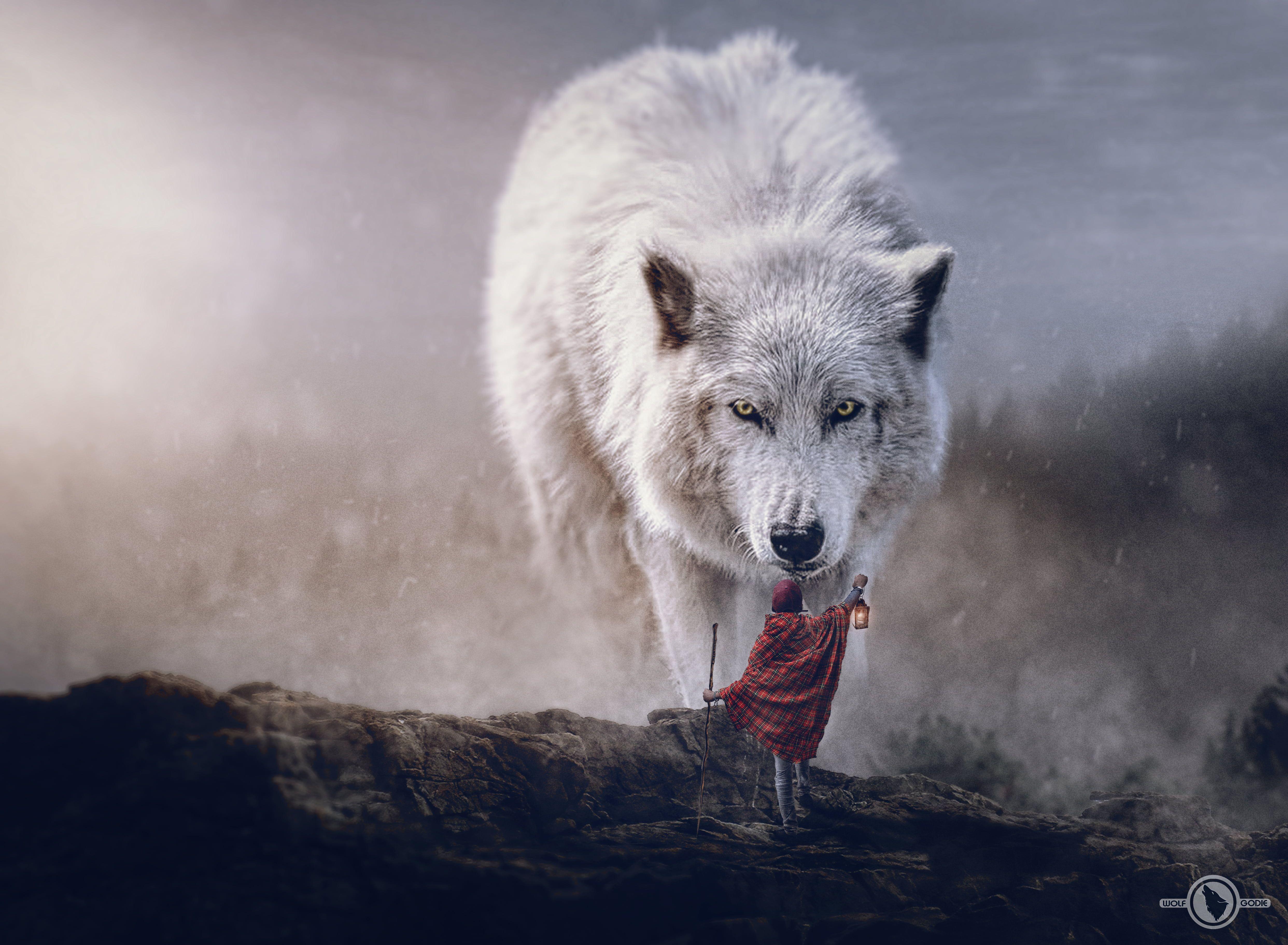 Digital Wolf Wallpapers - Top Free Digital Wolf Backgrounds ...