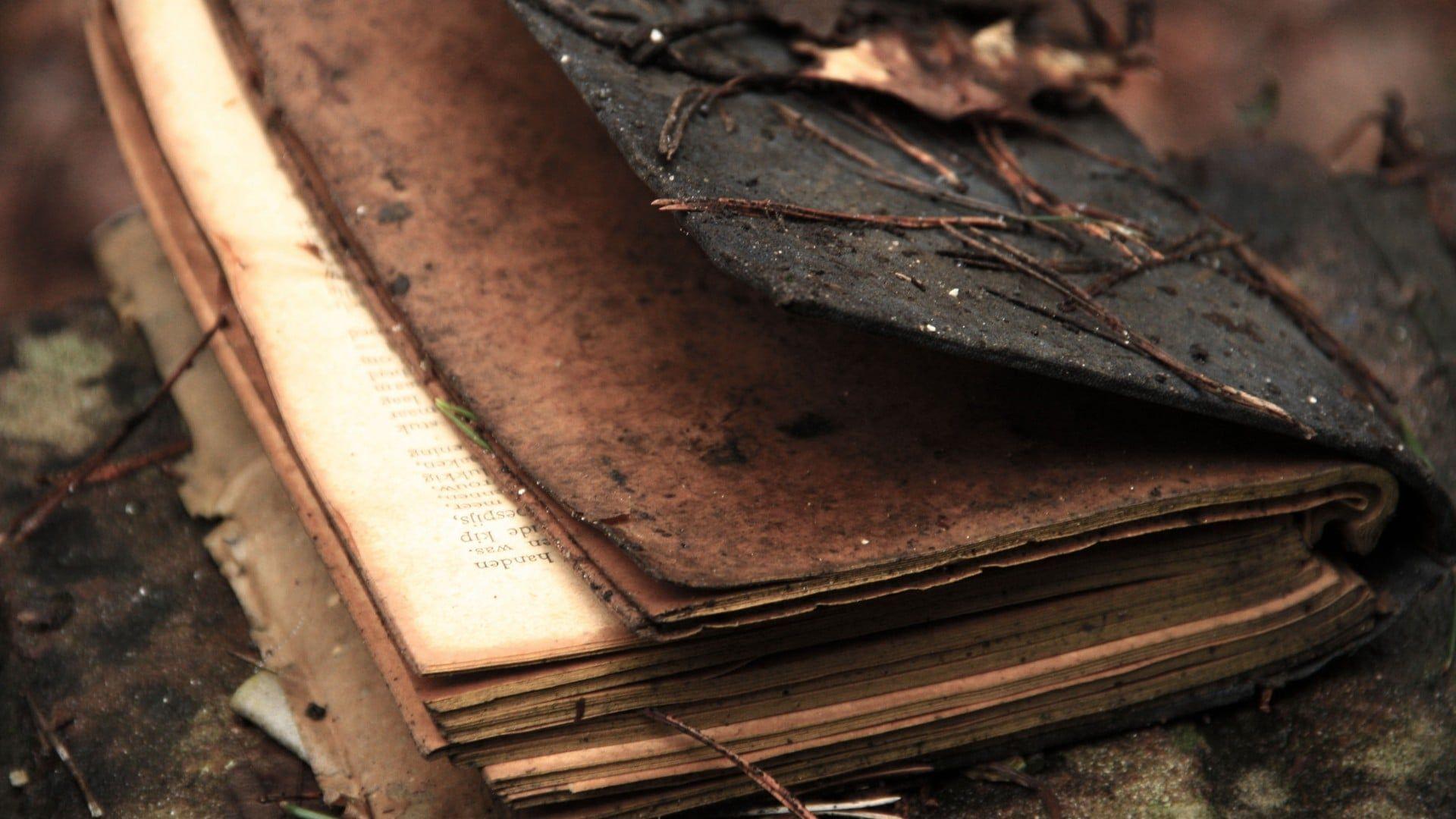 Literary Wallpapers - Top Free Literary Backgrounds - WallpaperAccess
