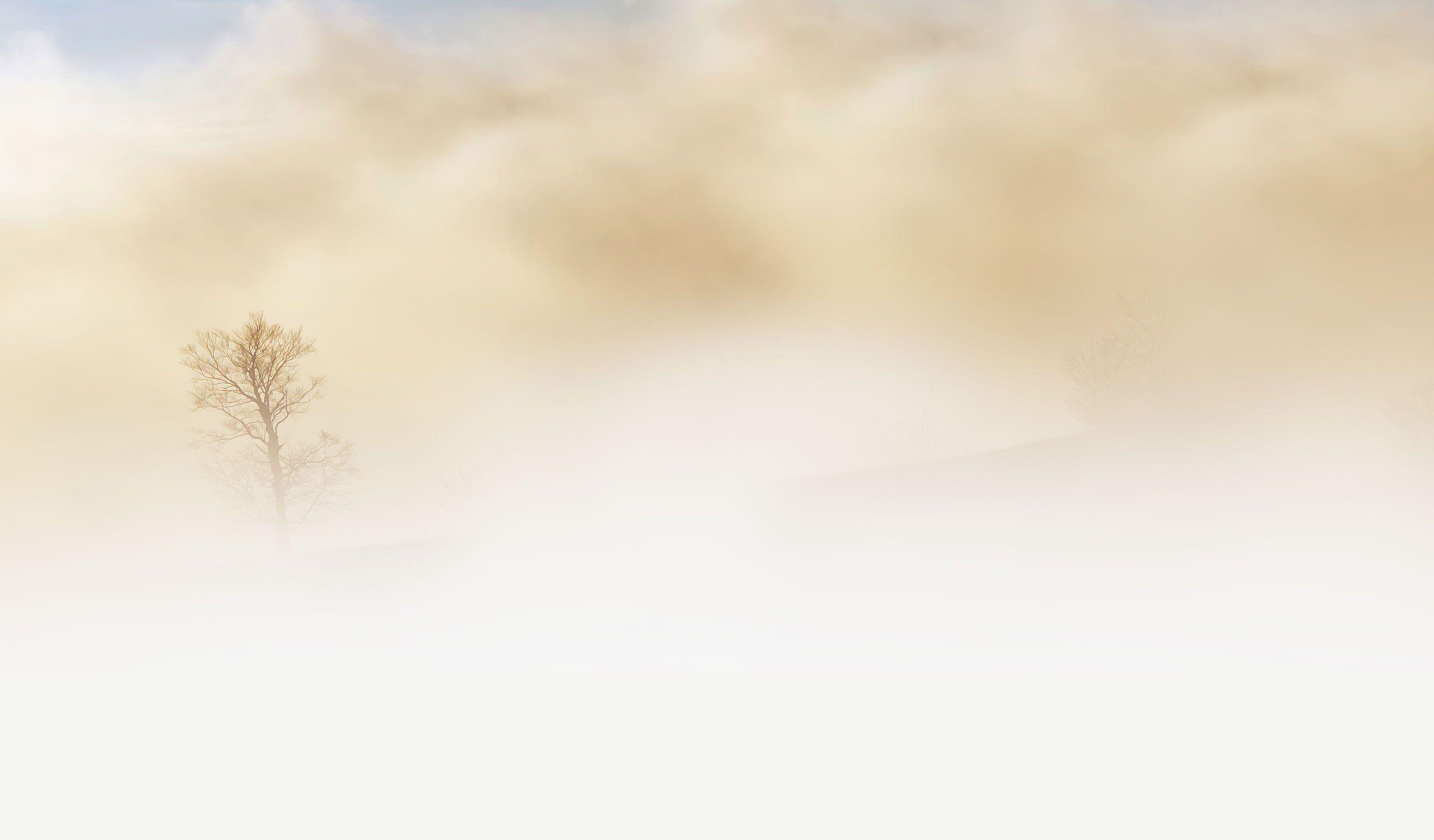 Sandstorm Wallpapers - Top Free Sandstorm Backgrounds - WallpaperAccess