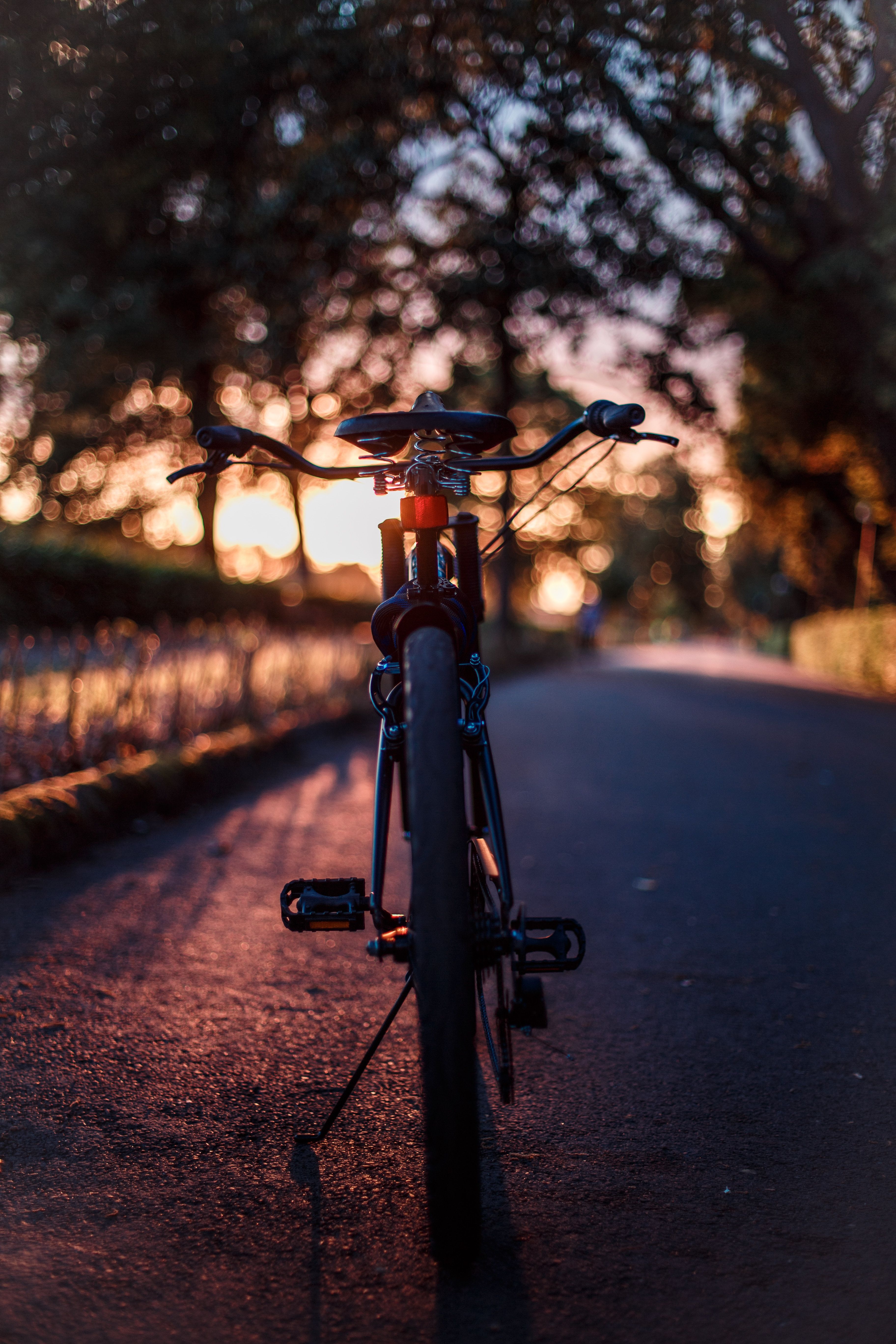 Cycling 4K Wallpapers - Top Free Cycling 4K Backgrounds - WallpaperAccess
