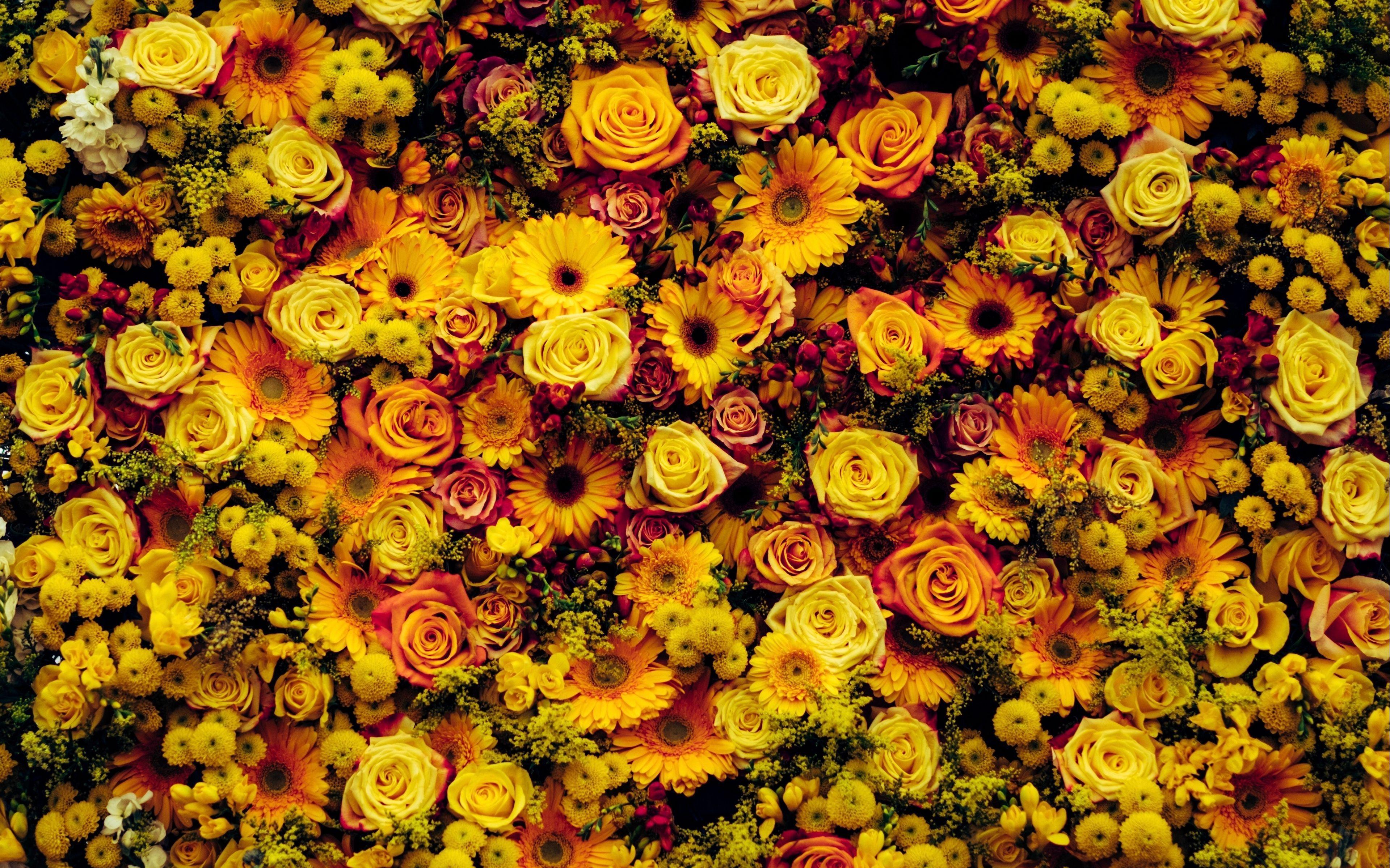 Floral 4K Wallpapers - Top Free Floral 4K Backgrounds - WallpaperAccess