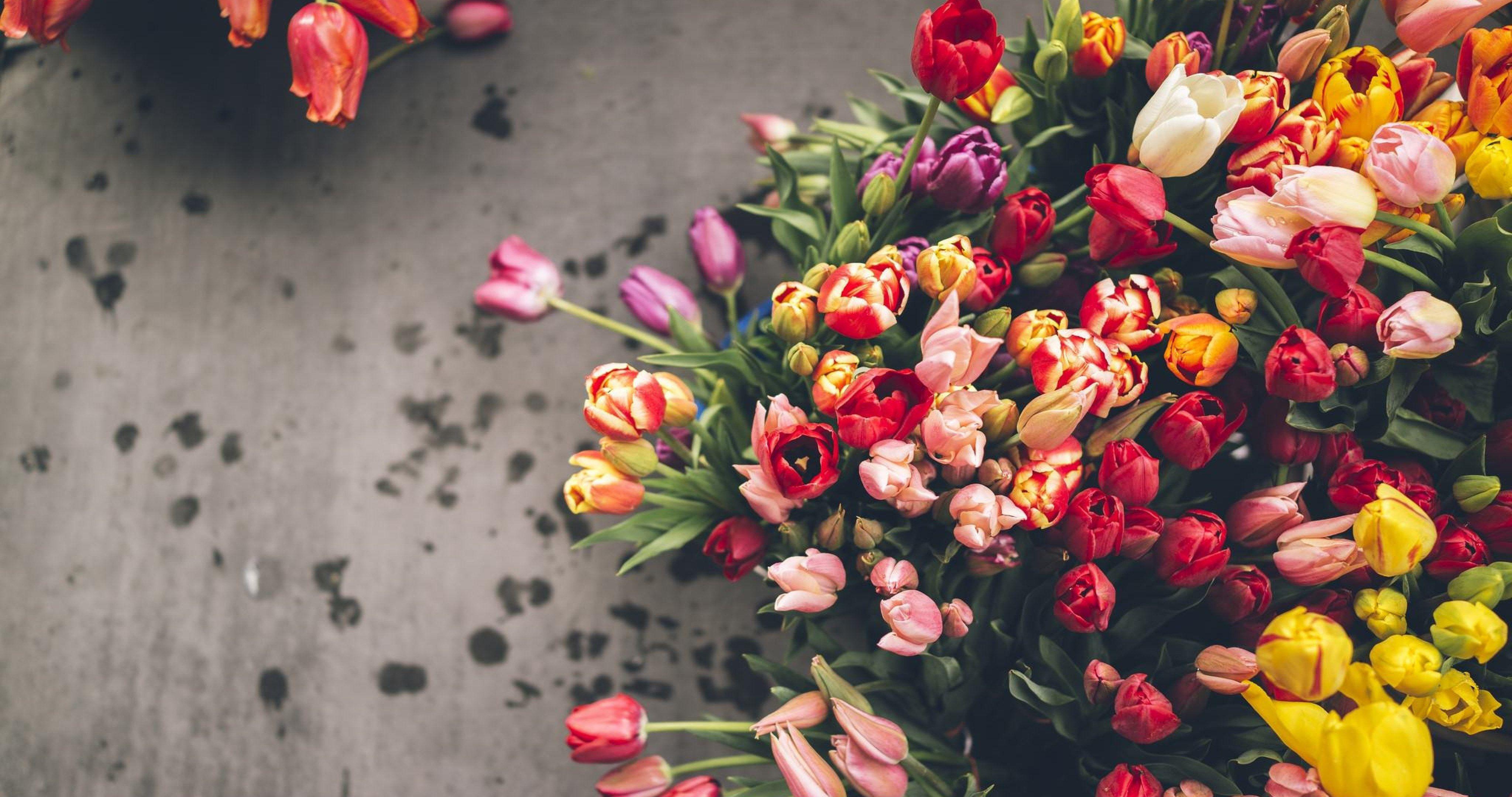 Floral 4K Wallpapers - Top Free Floral 4K Backgrounds - WallpaperAccess