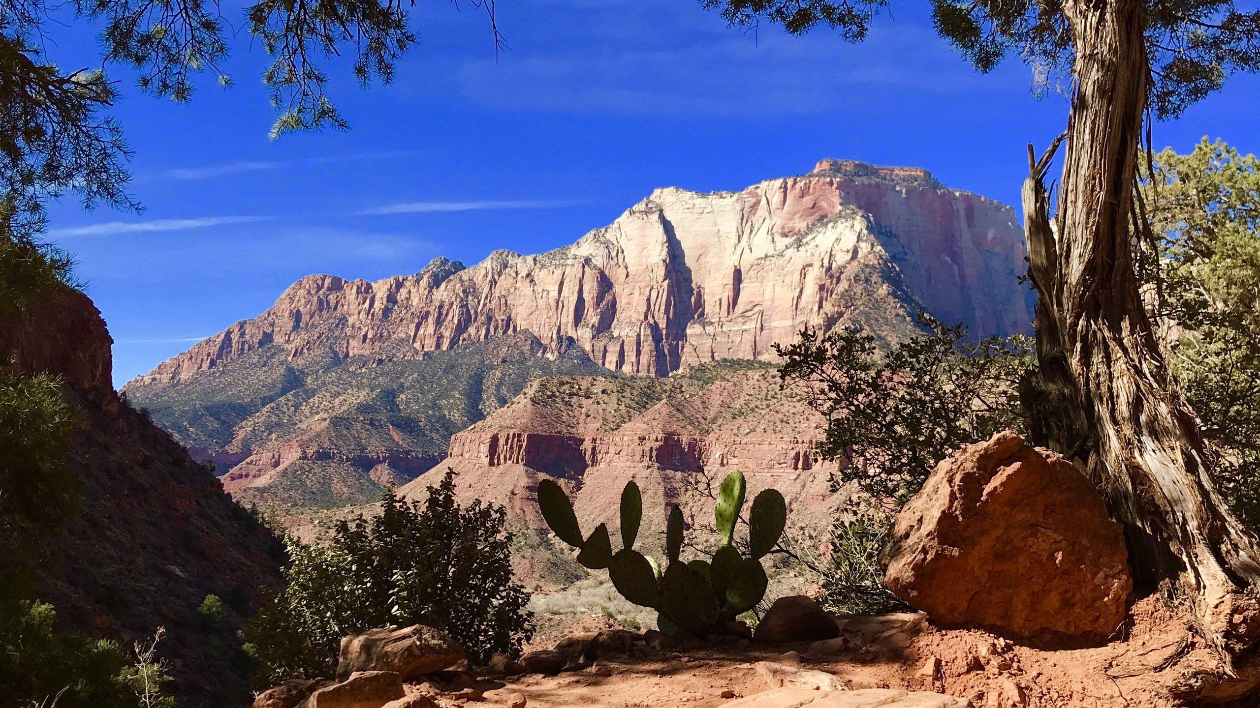 Zion National Park Wallpapers - Top Free Zion National Park Backgrounds ...