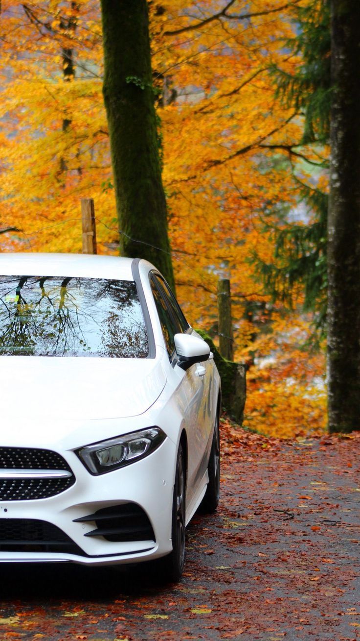 Car With Nature Wallpapers - Top Free Car With Nature Backgrounds ...