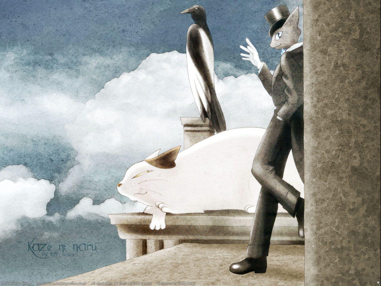 The Cat Returns Wallpapers - Top Free The Cat Returns Backgrounds ...