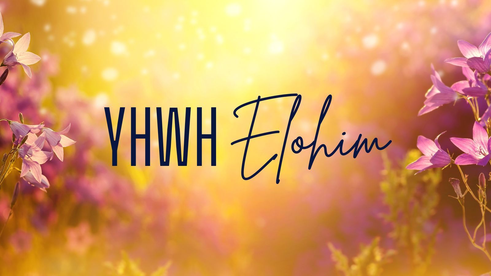 Elohim Wallpapers - Top Free Elohim Backgrounds - WallpaperAccess