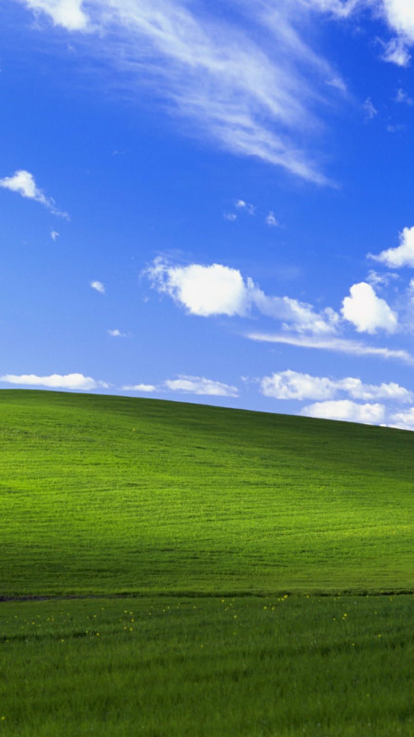 Windows XP Login Wallpapers - Top Free Windows XP Login Backgrounds ...