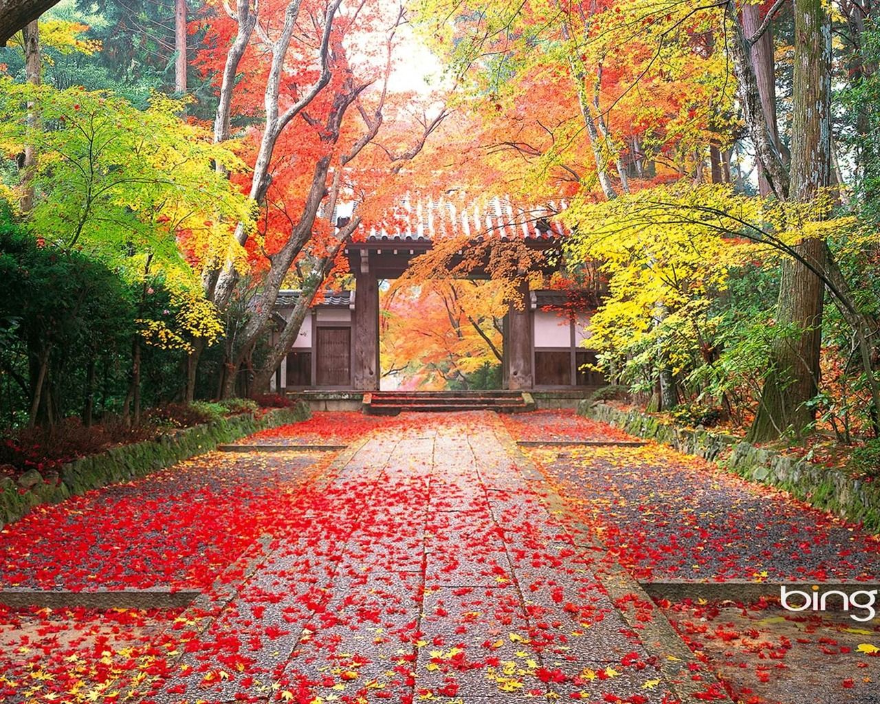 Japanese Nature 4K Wallpapers - Top Free Japanese Nature 4K Backgrounds ...