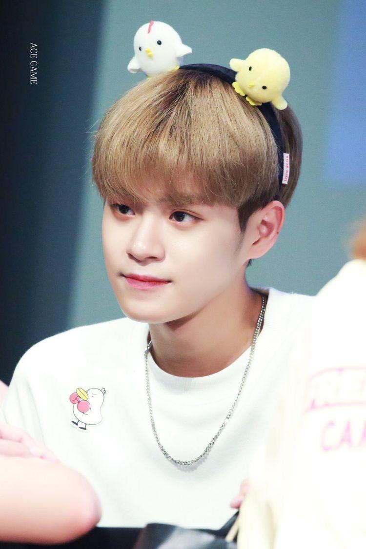 Lee Dae-hwi Wallpapers - Top Free Lee Dae-hwi Backgrounds - WallpaperAccess