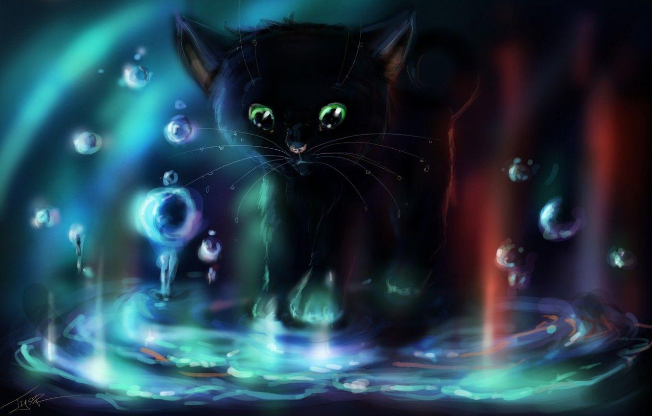 Cat and Bubbles Wallpapers - Top Free Cat and Bubbles Backgrounds ...