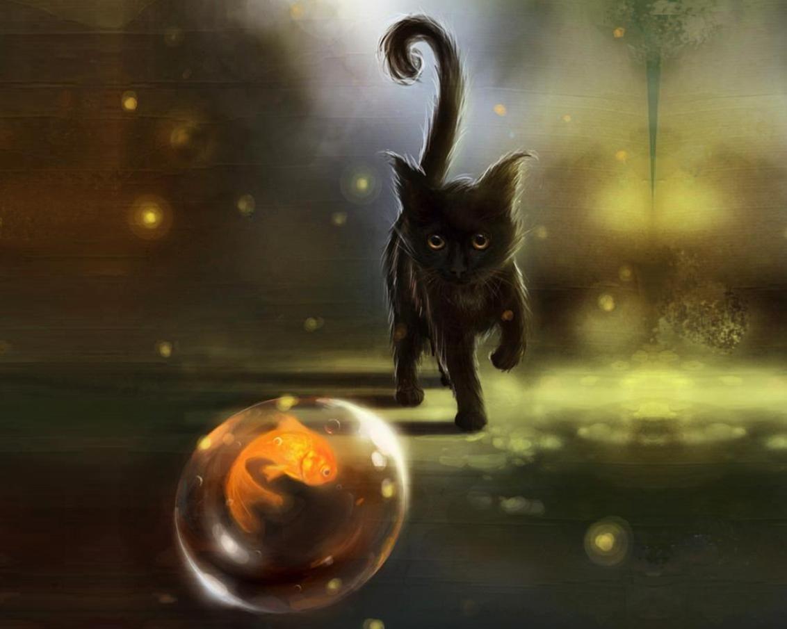 Cat and Bubbles Wallpapers - Top Free Cat and Bubbles Backgrounds ...