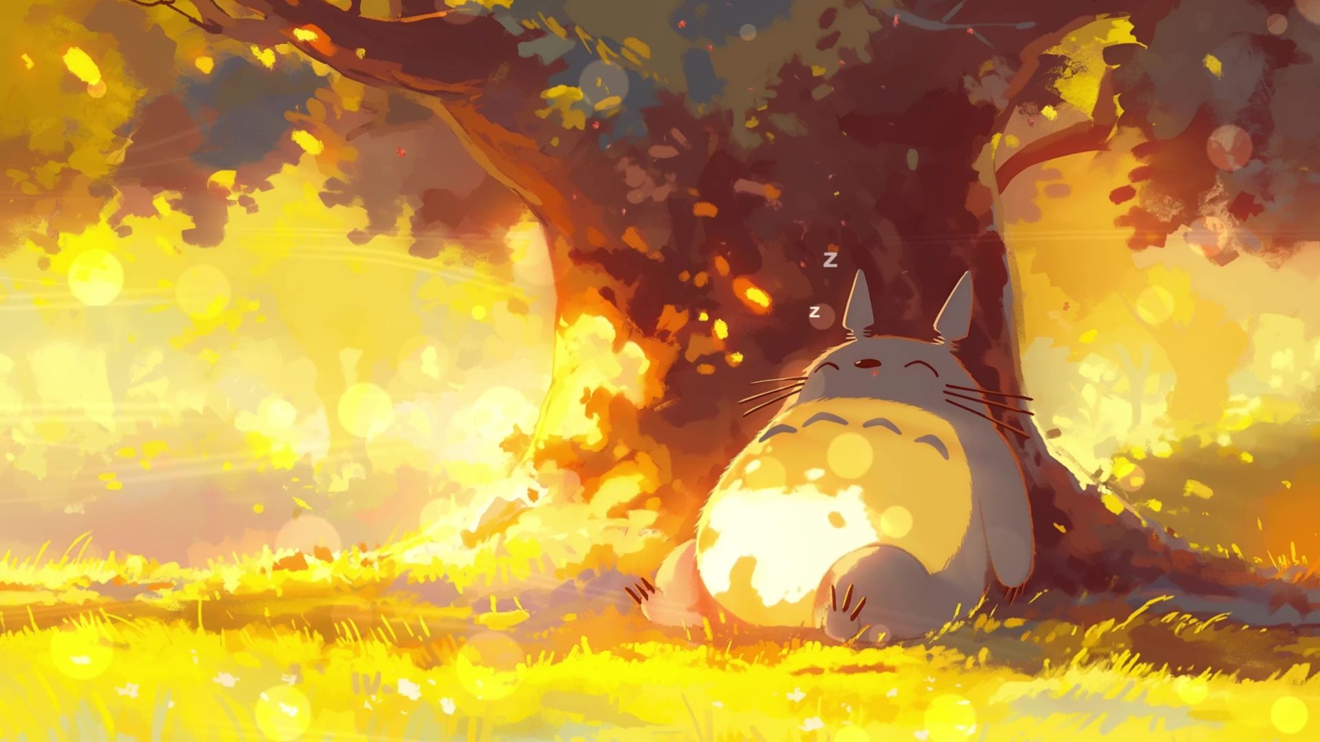 MEU AMIGO TOTORO Wallpapers - Top Free MEU AMIGO TOTORO Backgrounds ...