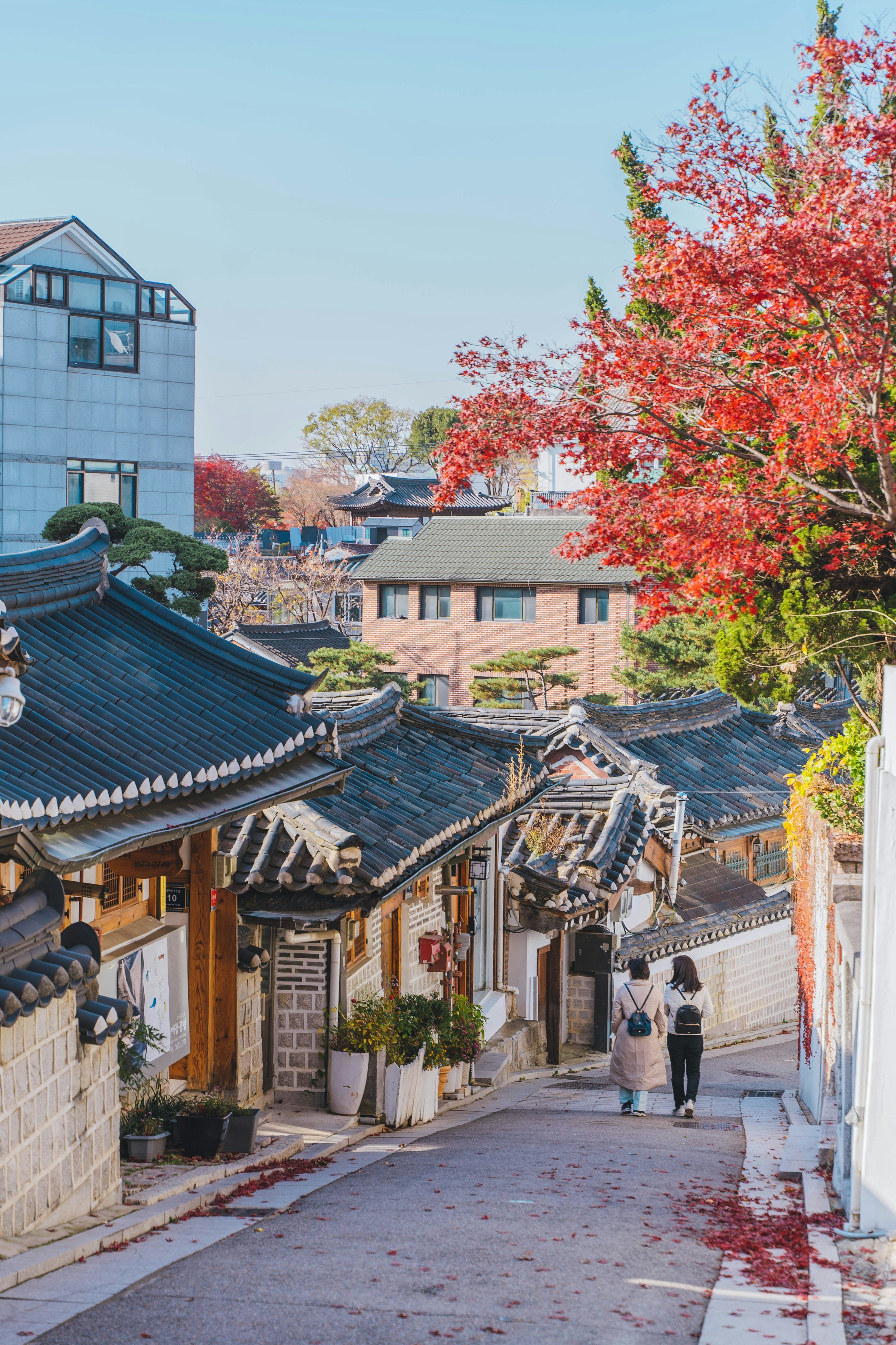 Hanok Wallpapers - Top Free Hanok Backgrounds - WallpaperAccess