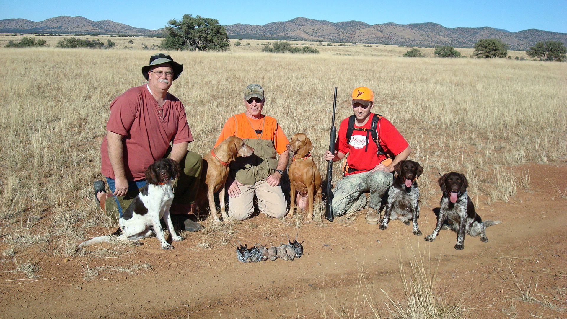 Upland Bird Hunting Wallpapers - Top Free Upland Bird Hunting ...