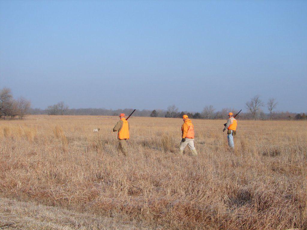Upland Bird Hunting Wallpapers - Top Free Upland Bird Hunting ...