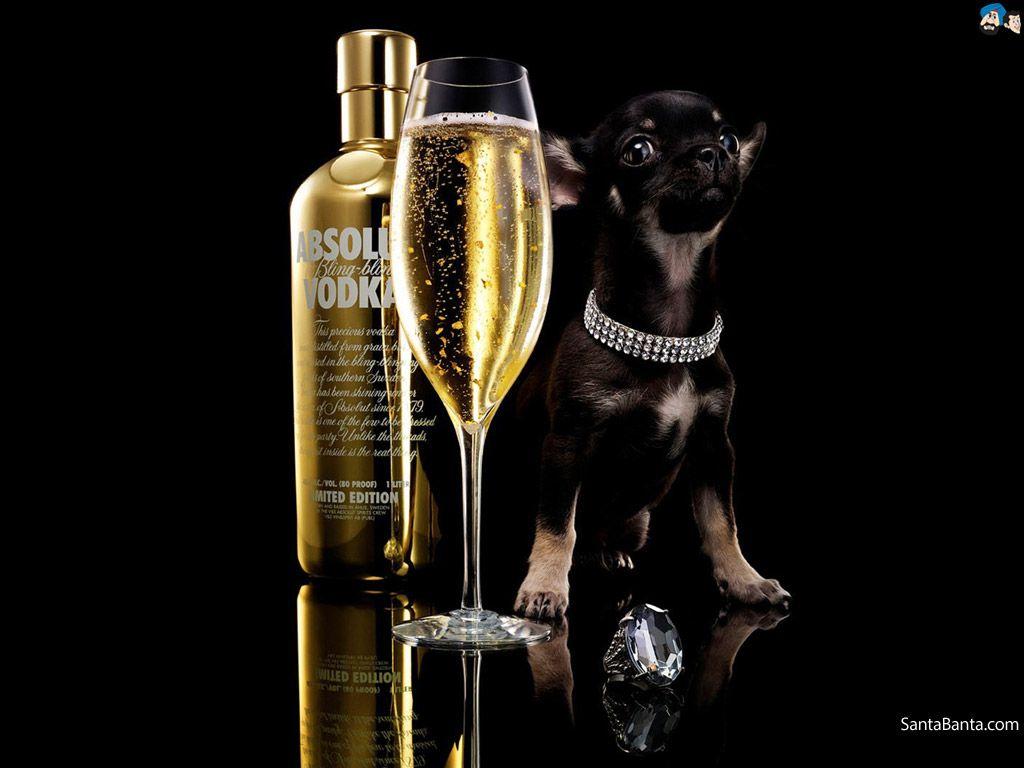 Drinks Wallpapers - Top Free Drinks Backgrounds - WallpaperAccess