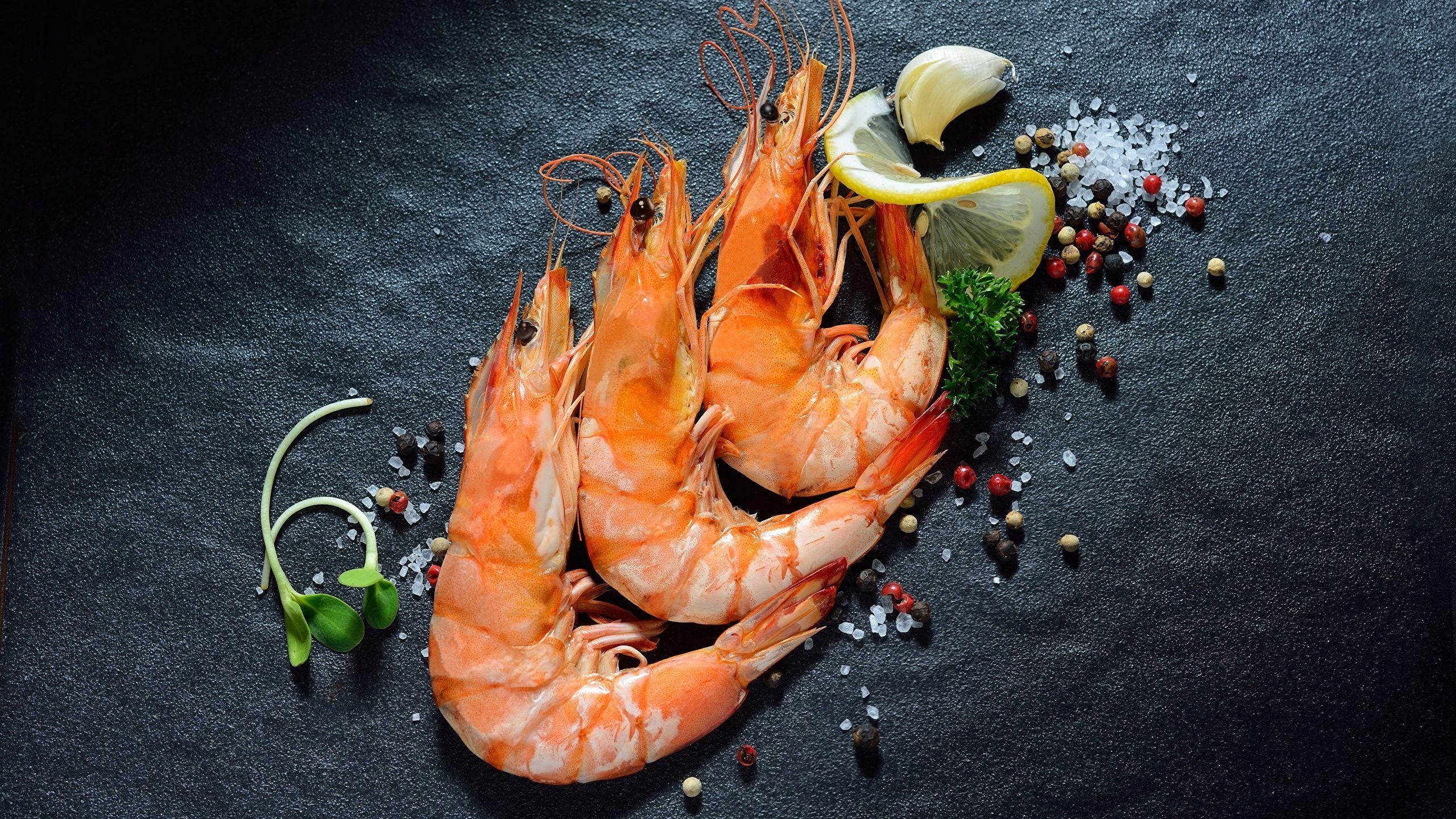 Shrimp Wallpapers - Top Free Shrimp Backgrounds - WallpaperAccess