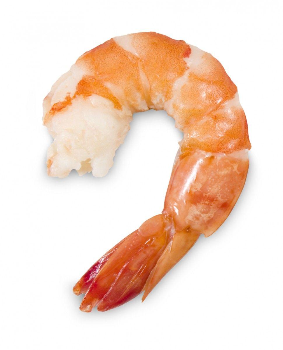 Shrimp Wallpapers - Top Free Shrimp Backgrounds - WallpaperAccess