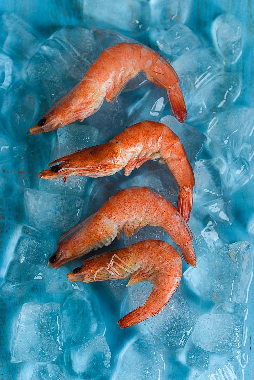 Shrimp Wallpapers - Top Free Shrimp Backgrounds - WallpaperAccess