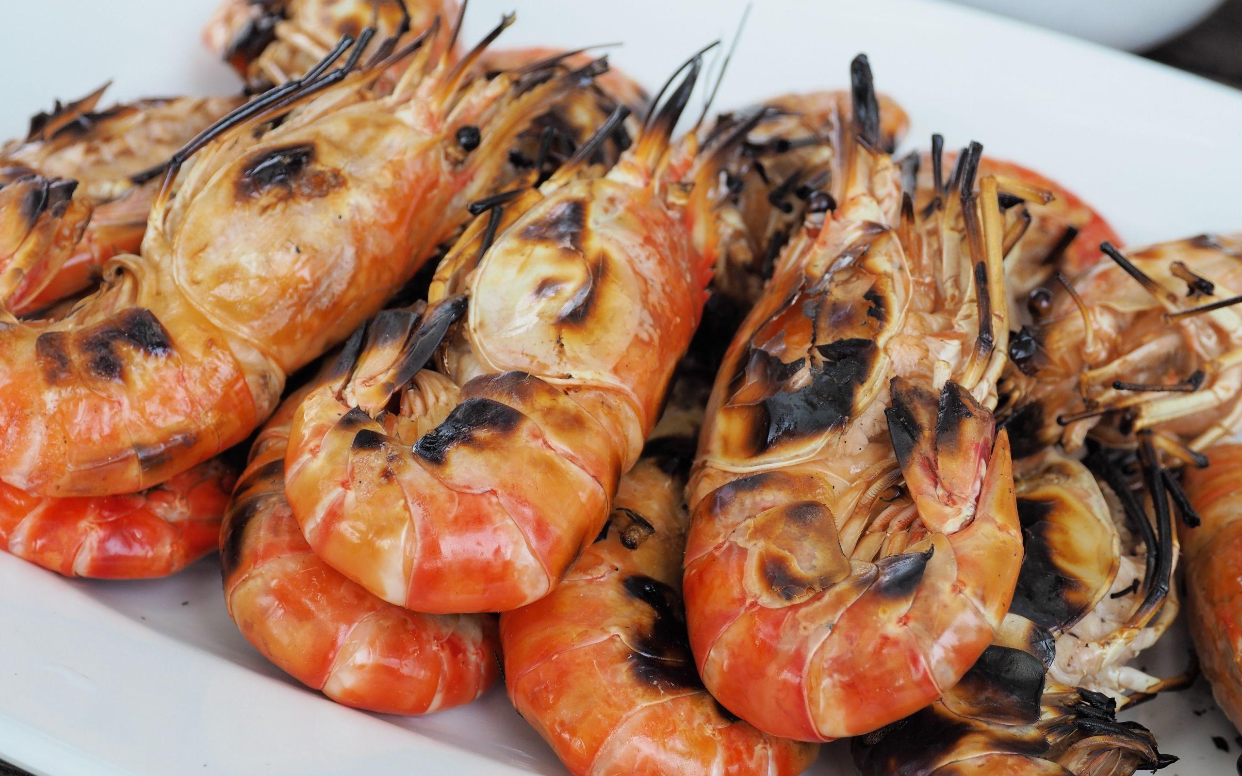 Shrimp Wallpapers - Top Free Shrimp Backgrounds - WallpaperAccess