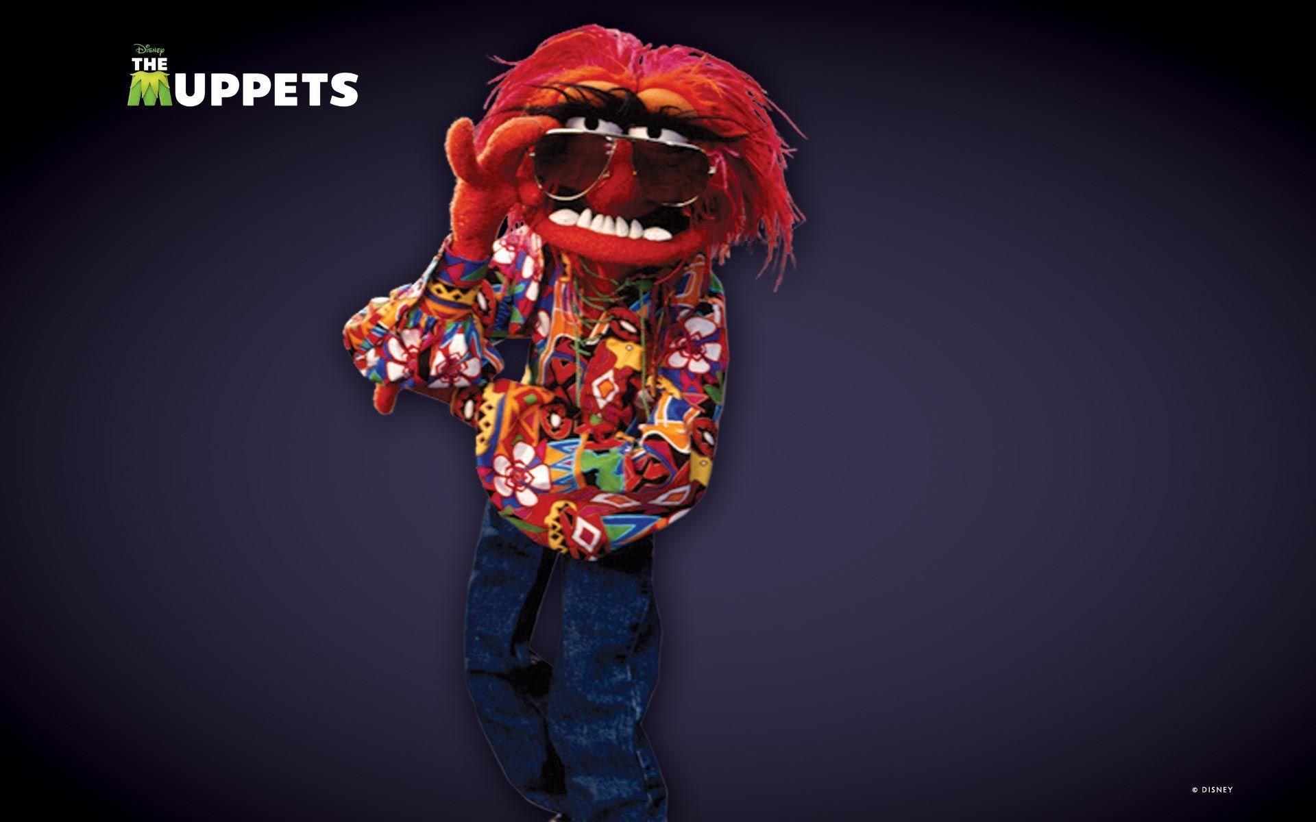 The Muppets Wallpapers - Top Free The Muppets Backgrounds - WallpaperAccess