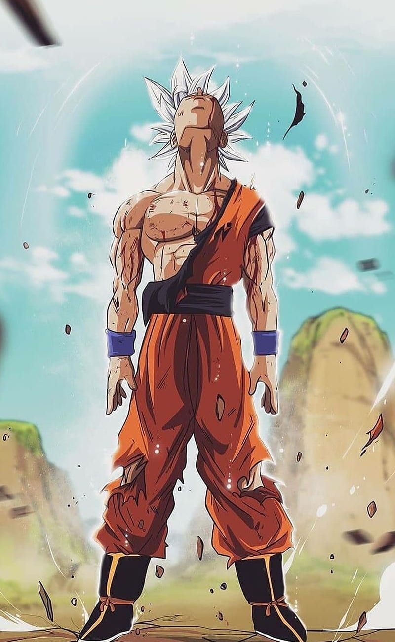 Goku Tui Wallpapers - Top Free Goku Tui Backgrounds - WallpaperAccess