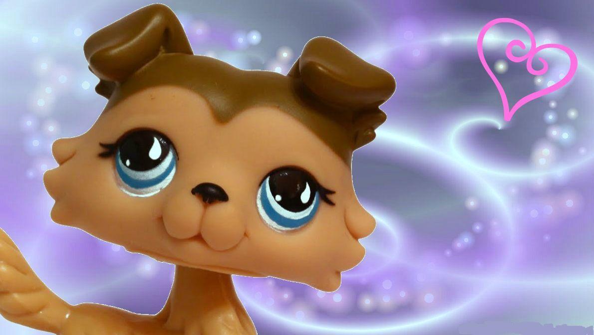 Littlest Pet Shop Wallpapers - Top Free Littlest Pet Shop Backgrounds ...