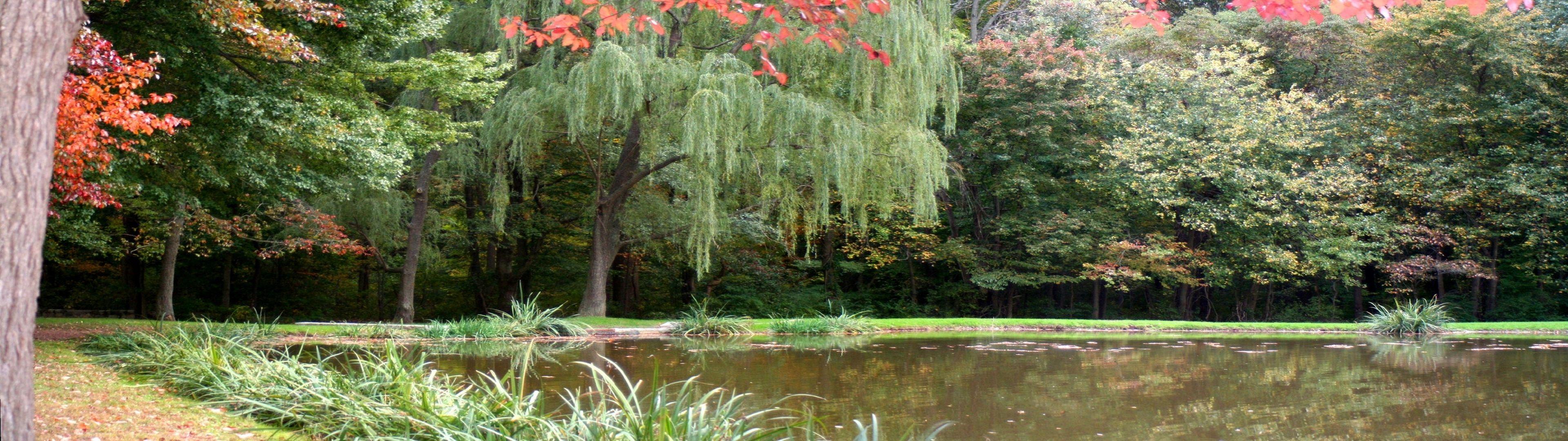 Spring Dual Monitor Wallpapers - Top Free Spring Dual Monitor ...