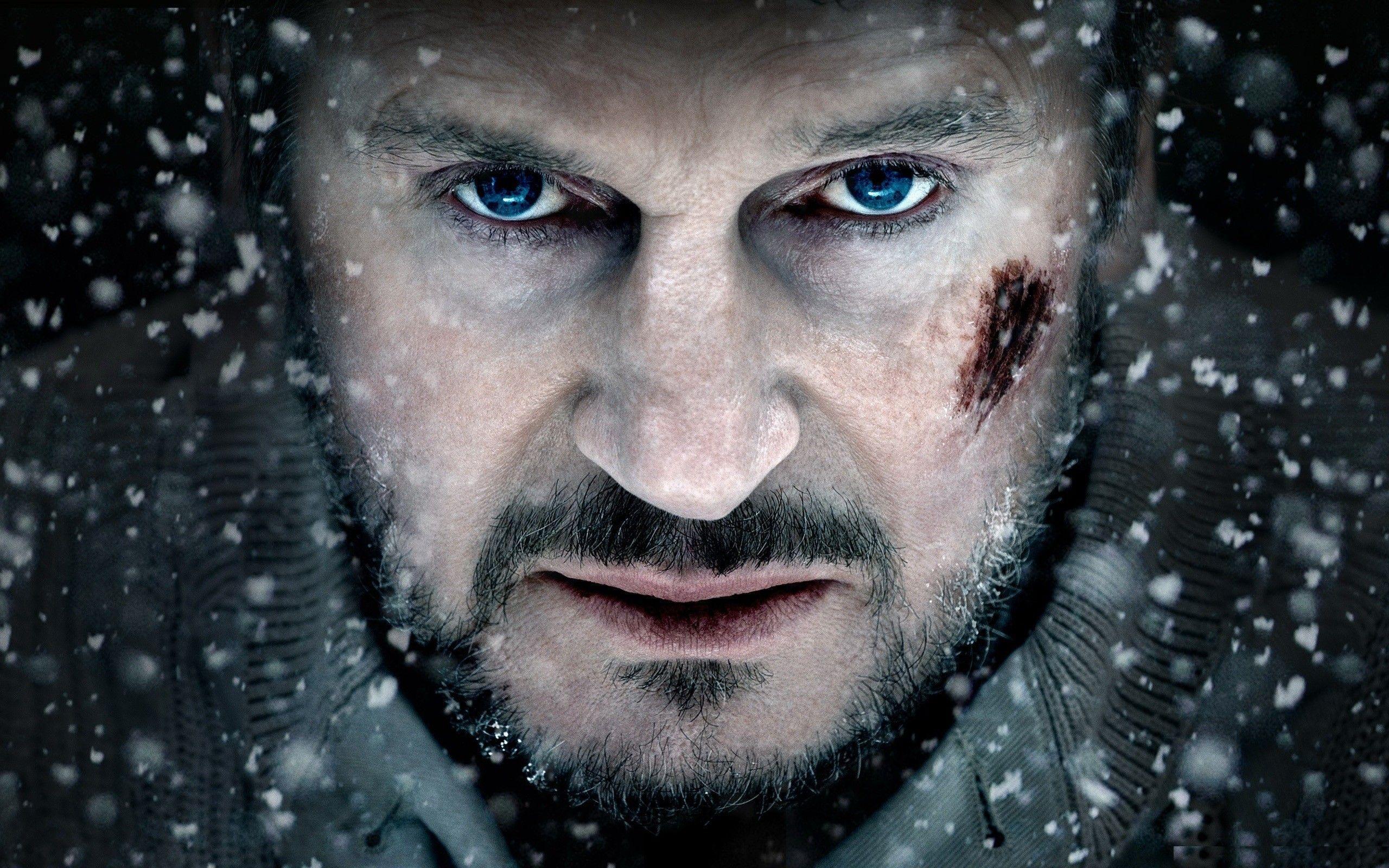 Liam Neeson Wallpapers - Top Free Liam Neeson Backgrounds - WallpaperAccess