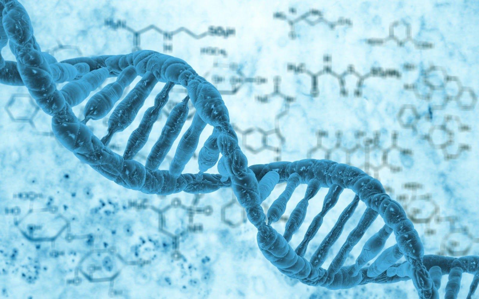 Human Biology Wallpapers - Top Free Human Biology Backgrounds ...