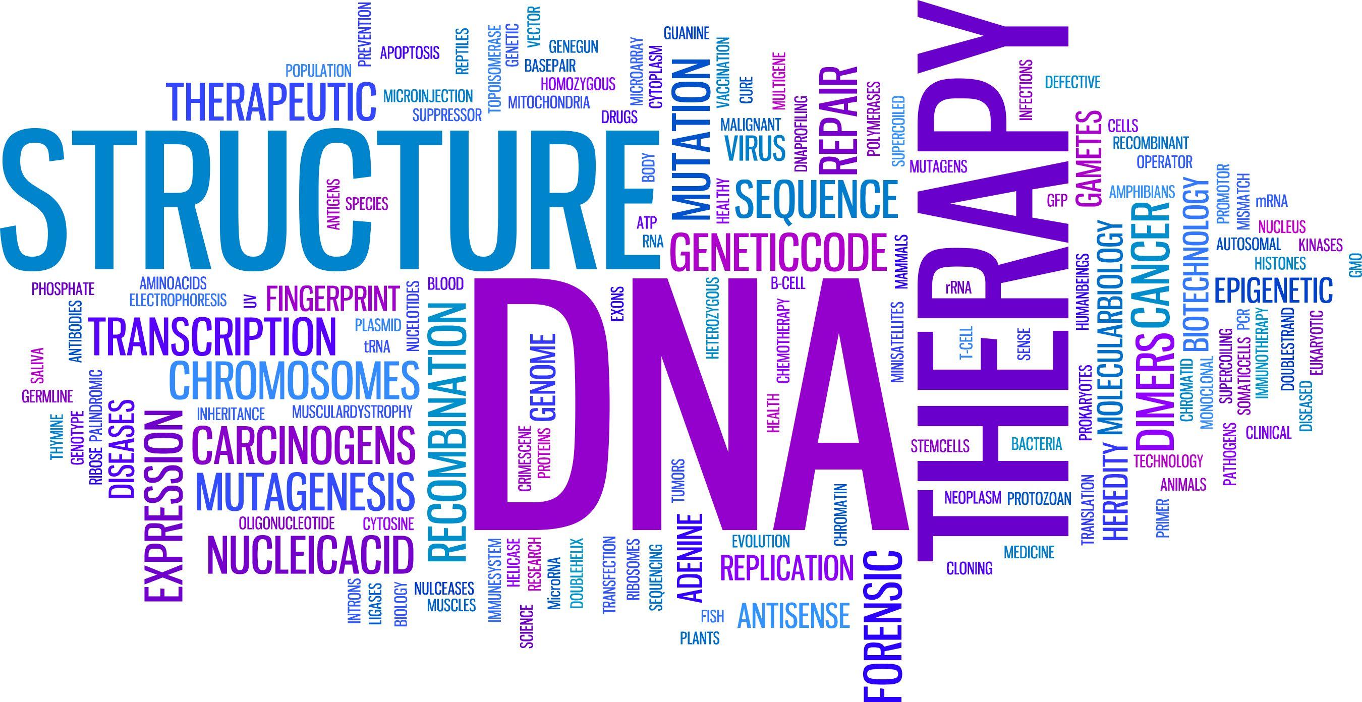 Human Biology Wallpapers - Top Free Human Biology Backgrounds ...