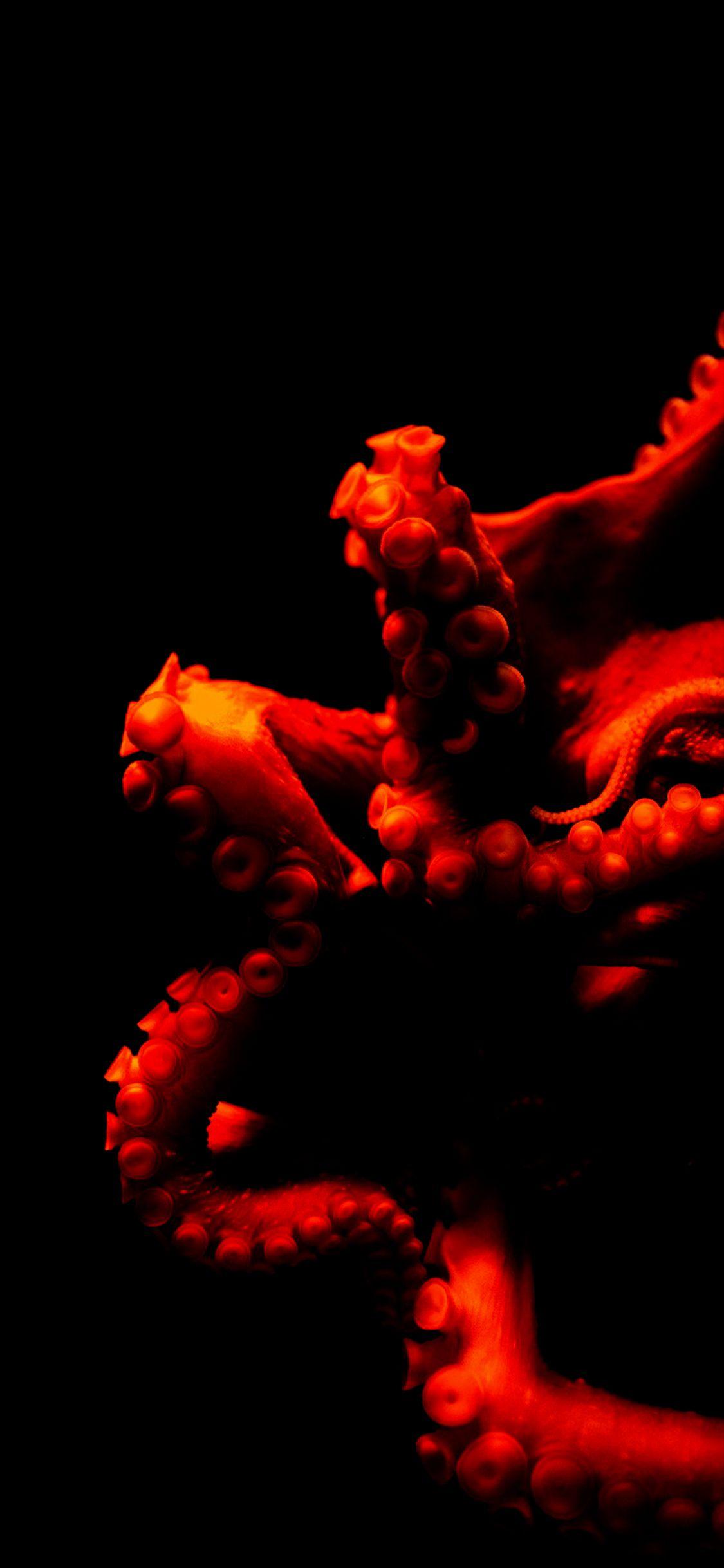 Red OLED Wallpapers - Top Free Red OLED Backgrounds - WallpaperAccess