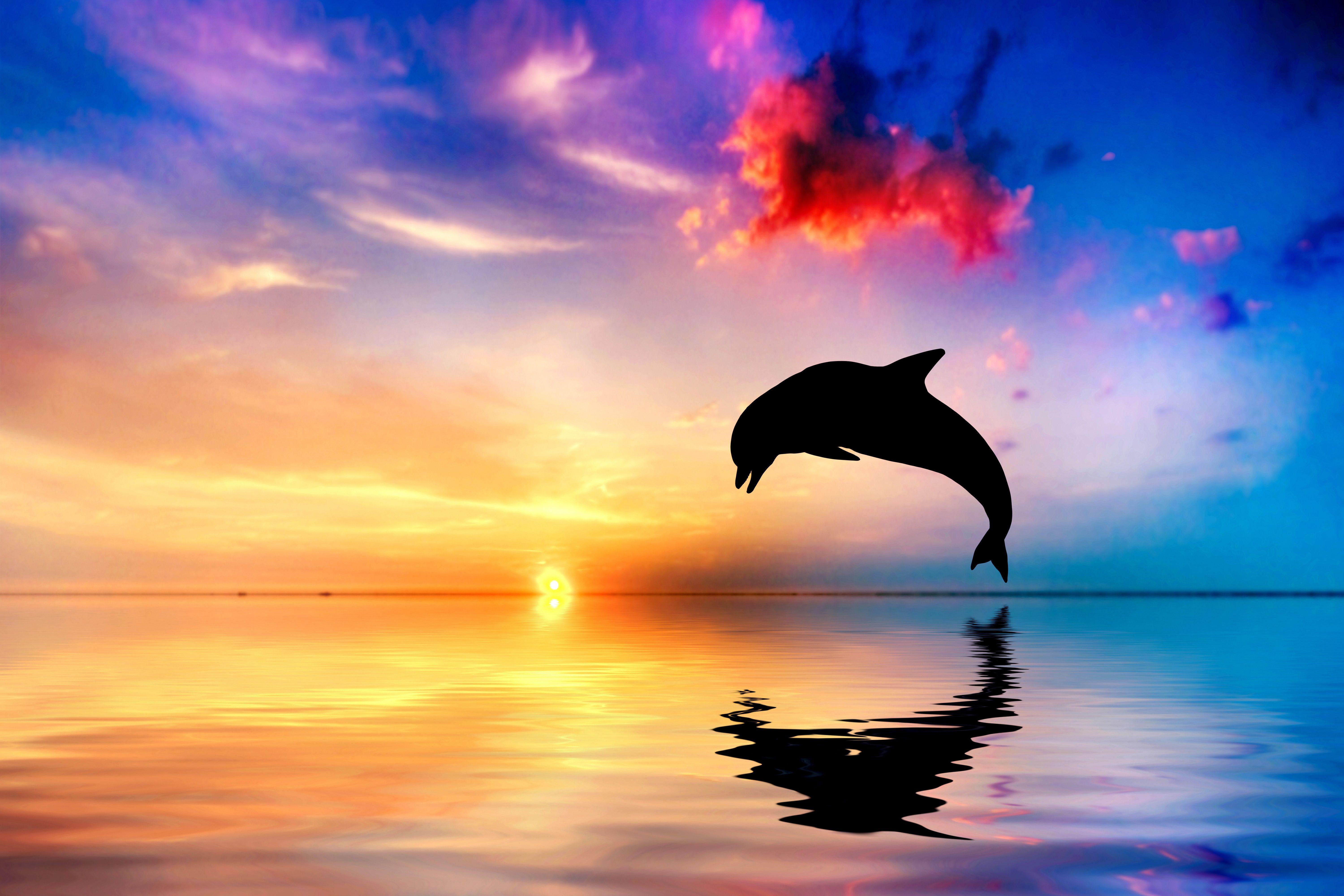 6000x4000 Wallpapers - Top Free 6000x4000 Backgrounds - WallpaperAccess
