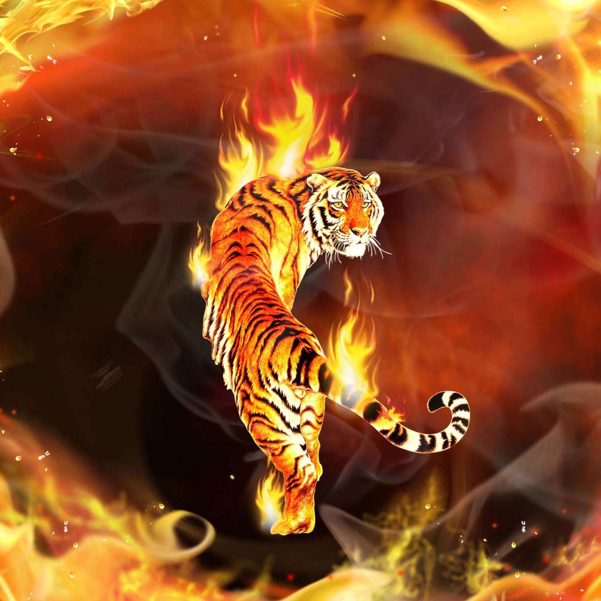 Chinese Tiger Wallpapers - Top Free Chinese Tiger Backgrounds ...