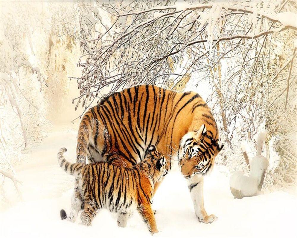 Chinese Tiger Wallpapers - Top Free Chinese Tiger Backgrounds ...