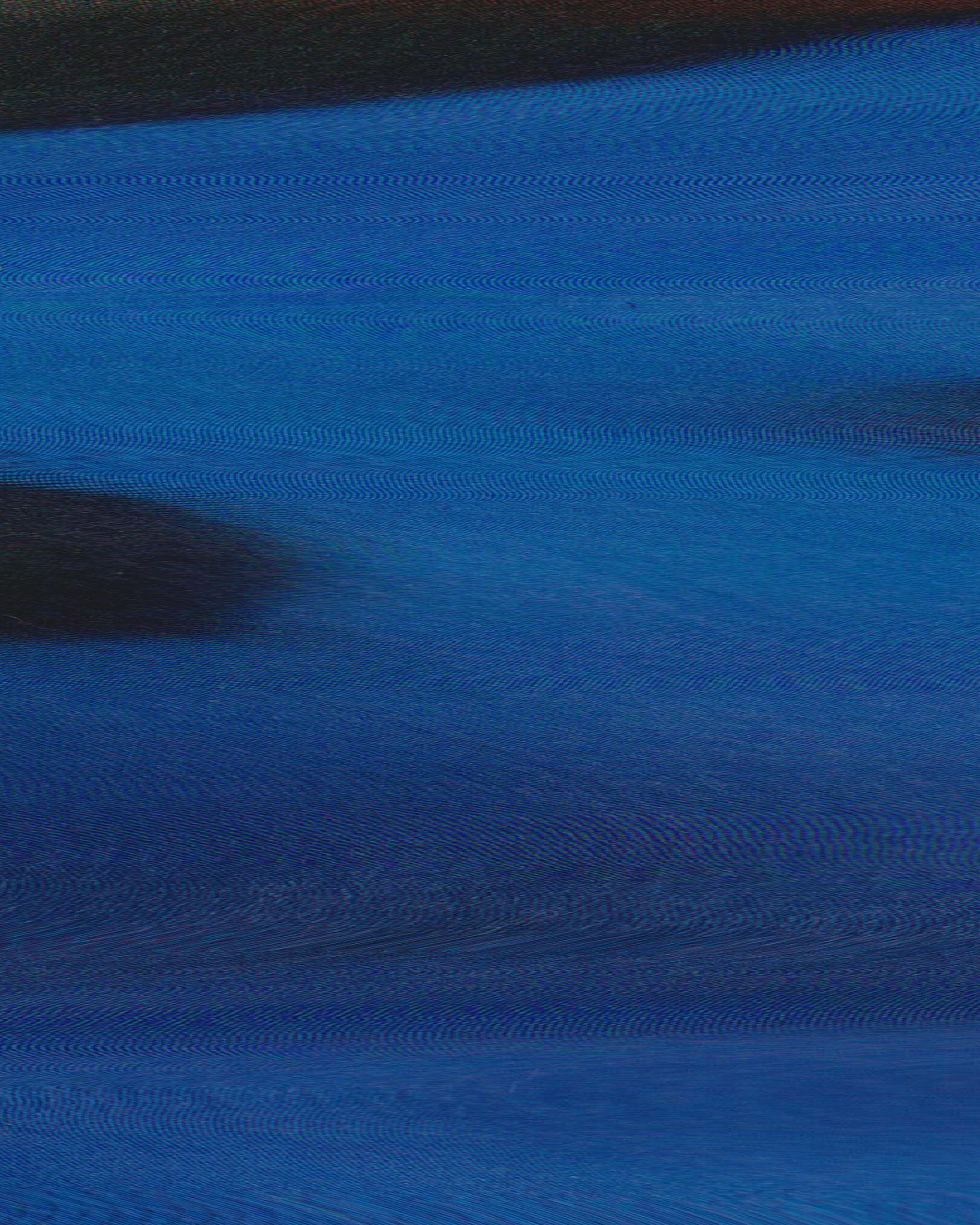 Yves Klein Wallpapers - Top Free Yves Klein Backgrounds - WallpaperAccess