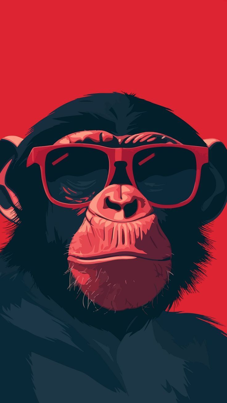 Monkey 4K Wallpapers - Top Free Monkey 4K Backgrounds - WallpaperAccess