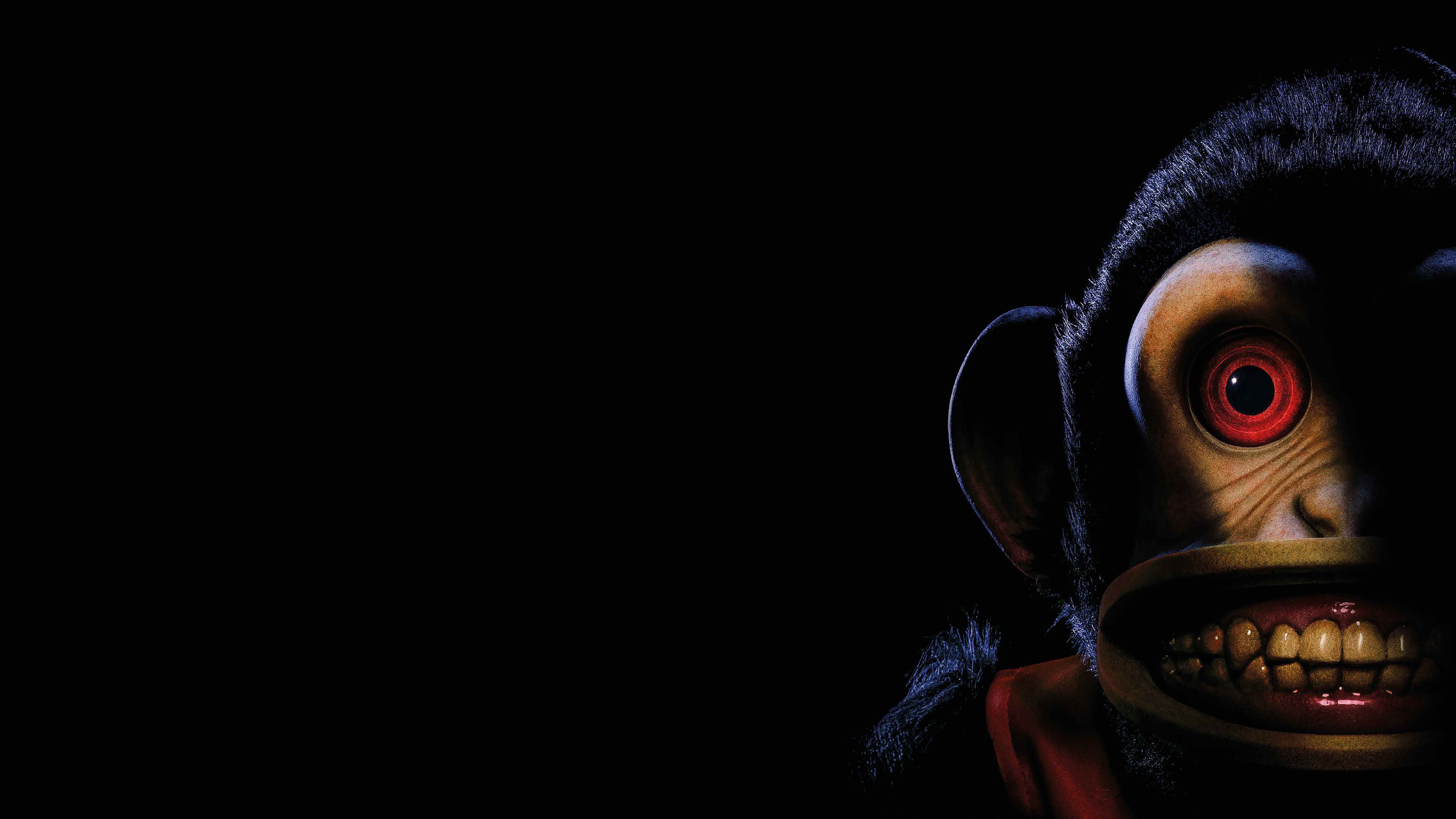 Monkey 4K Wallpapers - Top Free Monkey 4K Backgrounds - WallpaperAccess