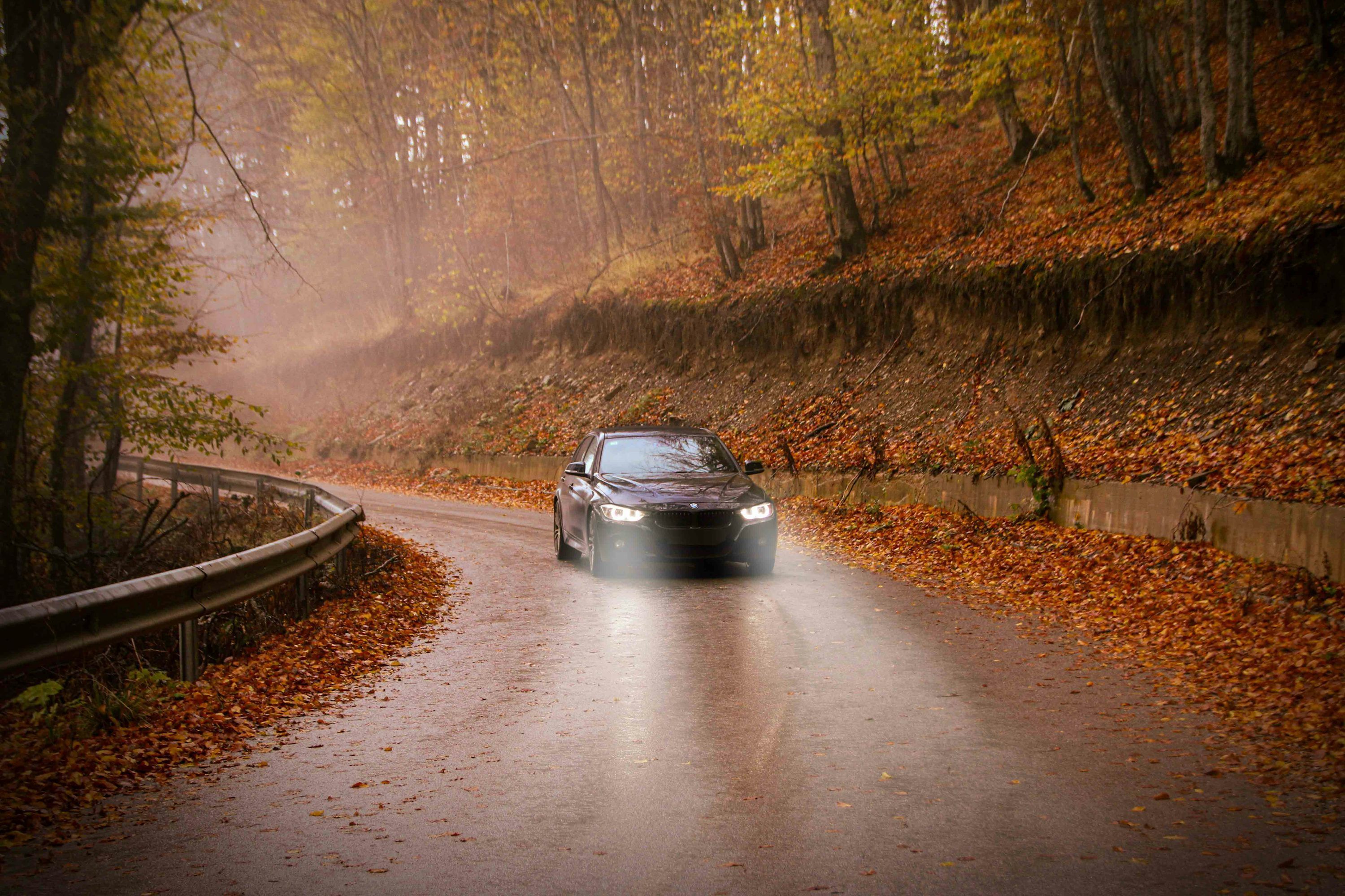 Car In Forest Wallpapers - Top Free Car In Forest Backgrounds ...