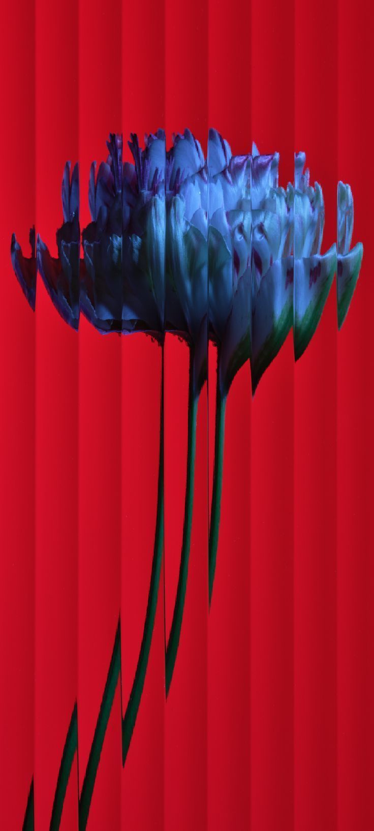 Nothing OS Wallpapers - Top Free Nothing OS Backgrounds - WallpaperAccess