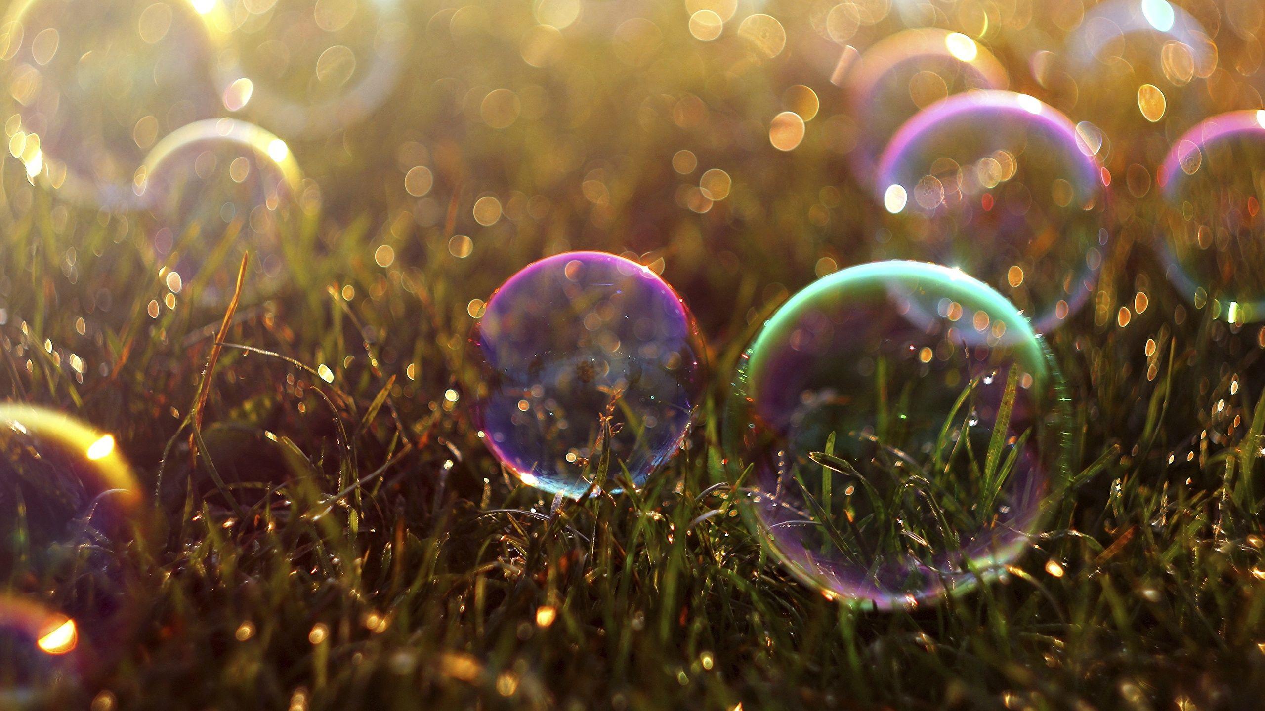 Soap Bubbles Wallpapers - Top Free Soap Bubbles Backgrounds ...